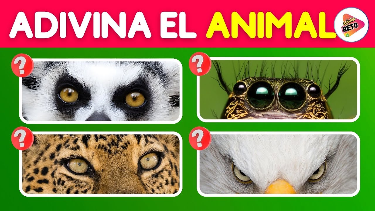 Adivina el ANIMAL por la MIRADA 👀🐶🦁| 45 Animales |Trivia-Reto - YouTube