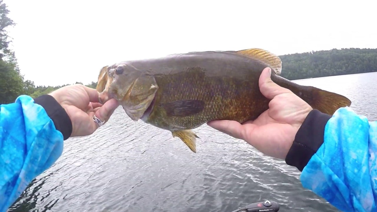 Smallmouth Bass Fishing | Drop Shot | Senko | Vermont - YouTube