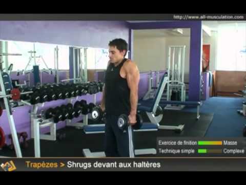 Top 3 des exercices de trapèzes : shrugs barres et haltères par All ...