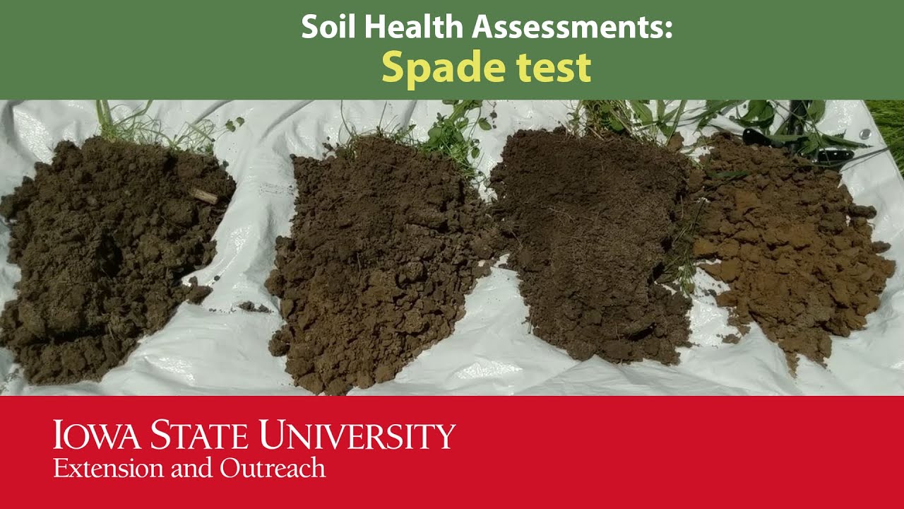 Soil Health Assessment Series: Aggregation - Spade Test - YouTube