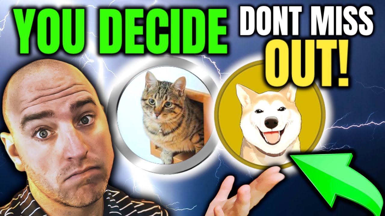 GINNAN or NEIRO? TOP MEME COINS OF 2024! - YouTube
