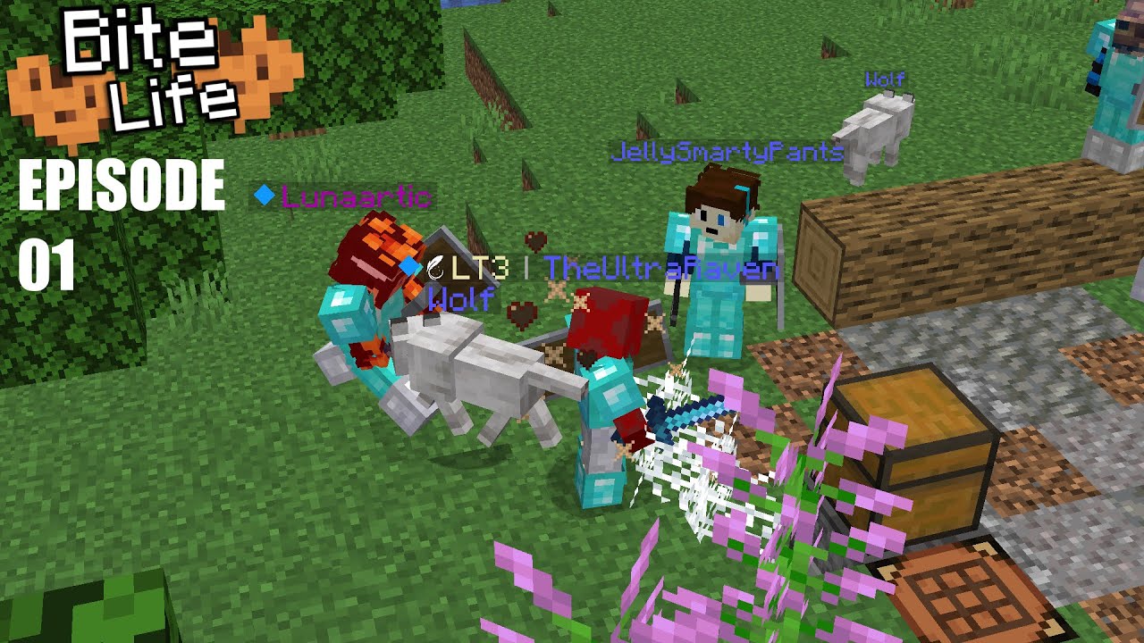 Uh Oh - Bite Life Episode 1 (session 2) - YouTube