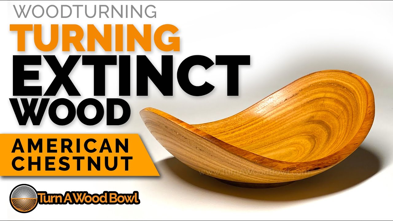 Woodturning Extinct Wood American Chestnut Natural Edge Bowl Video ...