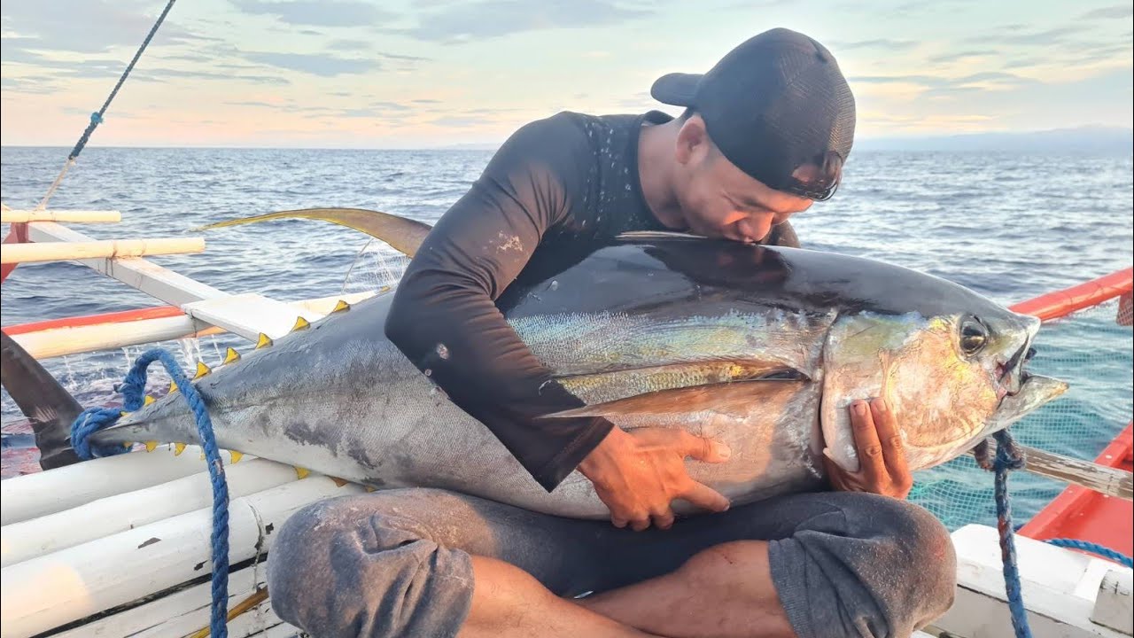 EP817-P2 - Day 5 of Tuna Series - YouTube