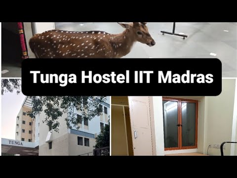 IIT MADRAS Hostel Vlog || Tunga Hostel || Girls' Hostel #iit #iitmadras #iitmadrasvlogs #hostel ...