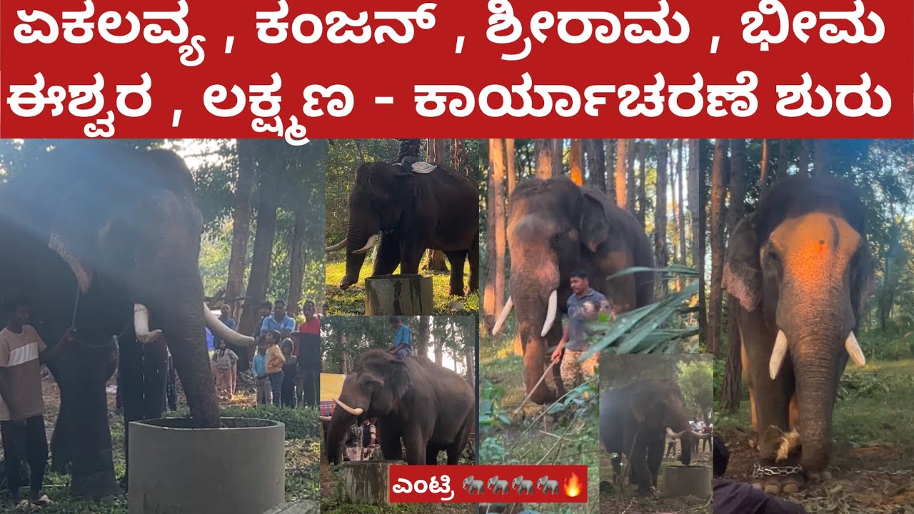 ಮೊದಲಬಾರಿ ಏಕಲವ್ಯ , ಭೀಮ ಕಂಜನ್ ಎಂಟ್ರಿ , ಕಾರ್ಯಾಚರಣೆ ಶುರು | ekalavya ...