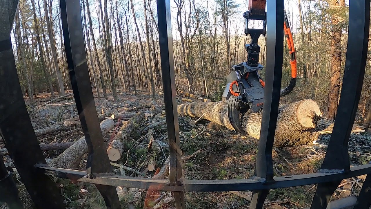Cutting Trees and Shovel Logging - YouTube