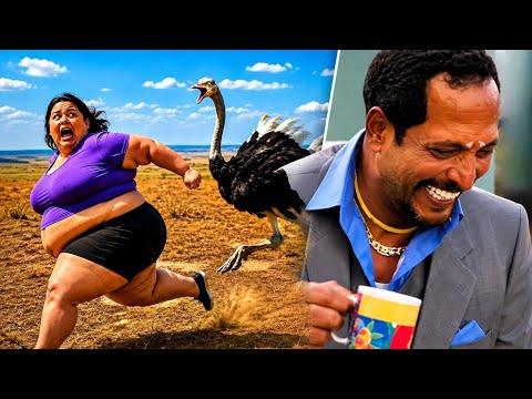 None Stop Funny Videos Of weekends//Try Not To Laugh Challenge 😂 (Highly Impossible)