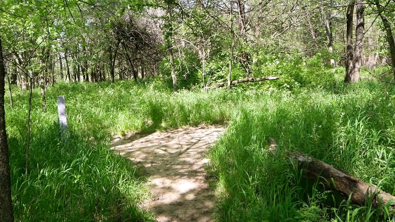 Nature Trail - Relaxing walk through the woods - YouTube
