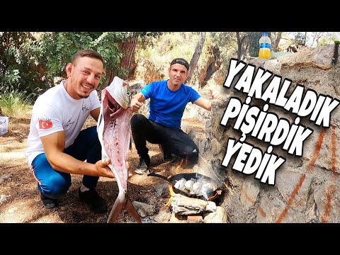 Melanur ve Kuzu Yedik! İki Adet Canlı Yem İki Dev Balık/Hangi Balık Daha Lezzetli/Yakala-Pişir