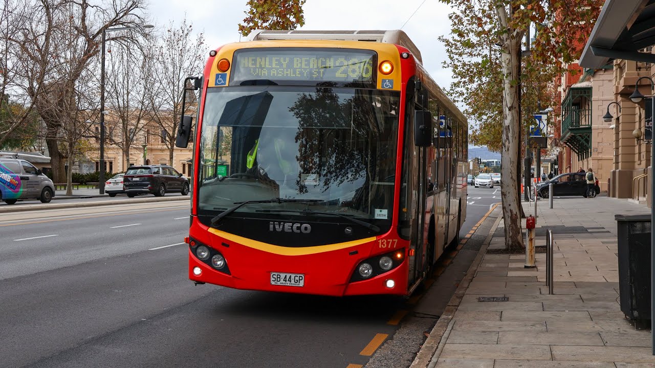 Torrens Transit Bus 1377 Iveco Metro C260, Custom Coaches "CB80" - YouTube