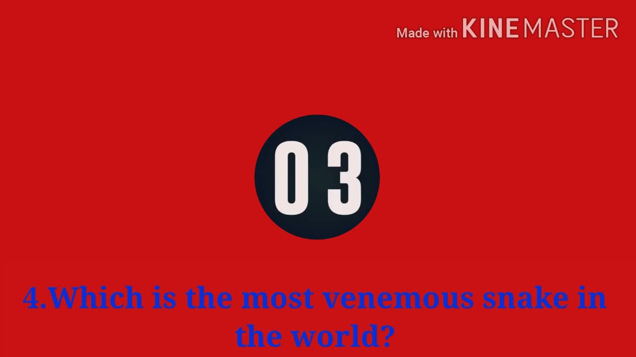 Quiz Masters Quiz Good For General Knowledge Quizes And Facts Part 1 quiz-masters-quiz-good-for-general-knowledge-quizes-and-facts-part-1