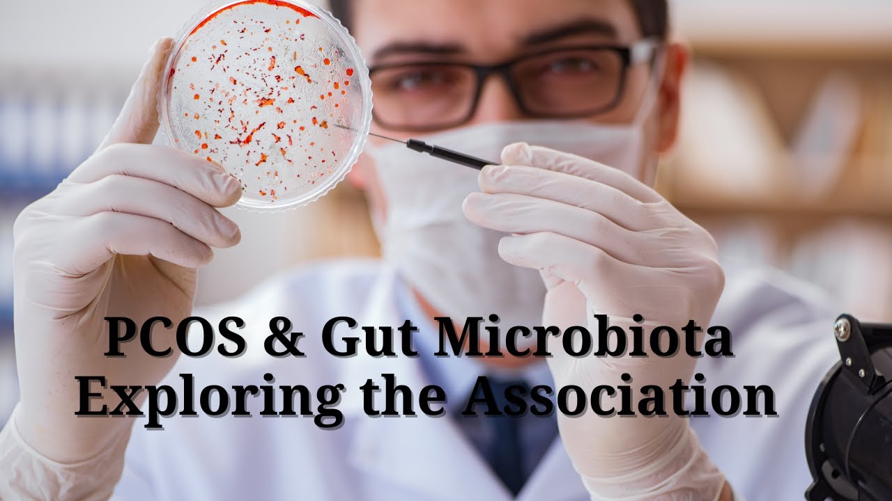 PCOS & GUT microbiota - Exploring the Association - YouTube