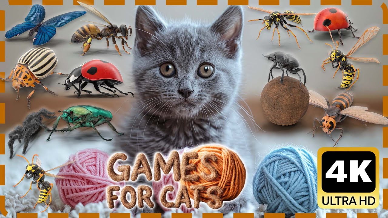 Game for Cats | Interactive Cat Entertainment Video Play | Fun Videos ...
