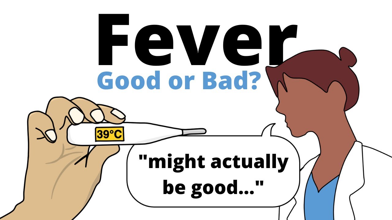 Is FEVER Good Or Bad What Fever Does To Your Body Explained YouTube Is FEVER Good Or Bad What Fever Does To Your Body Explained YouTube
