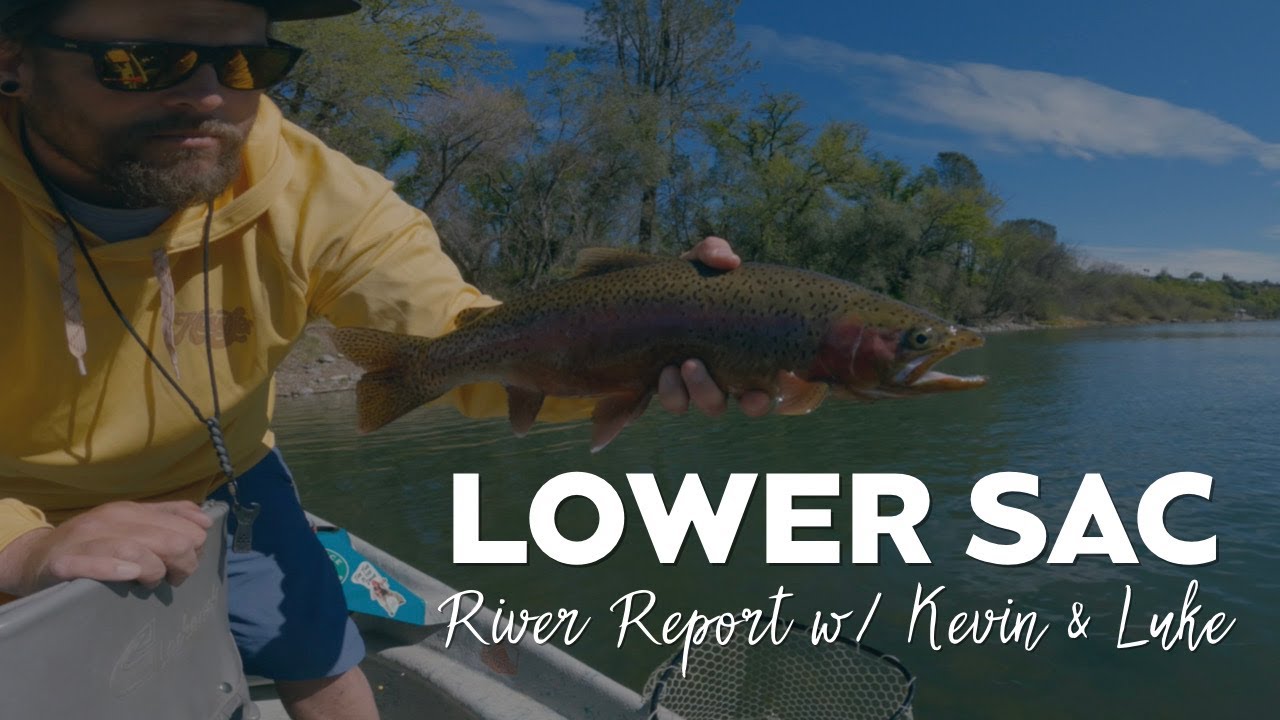 Fly Fishing || Lower Sacramento River || Luke Geraty & Kevin Kay - YouTube