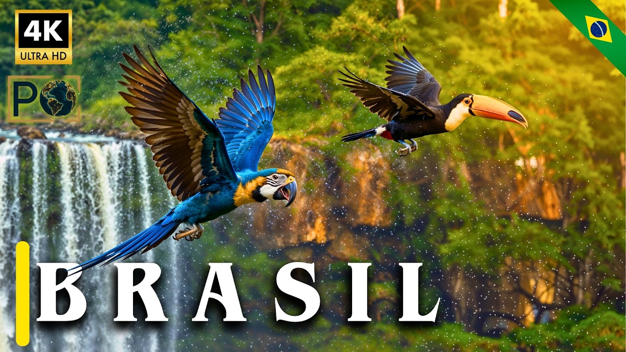 10 Maravilhas do BRASIL: Descubra o PAÍS Gigante pela própria NATUREZA ...