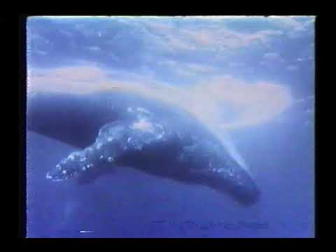 Chevron Commercial (1987) - YouTube