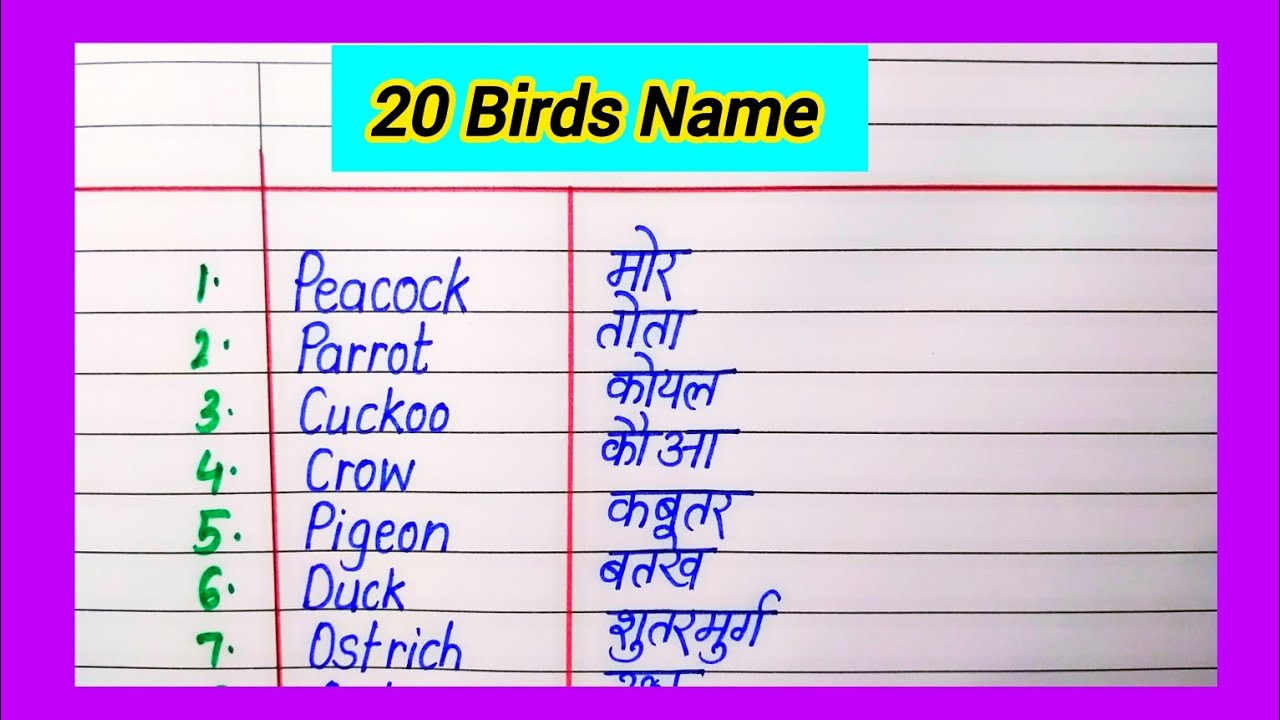 20 Birds Name in hindi and english | name of Bird | Bird ke naam - YouTube