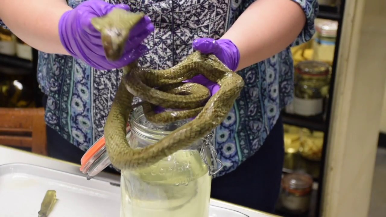 Ask a Scientist: What is inside the Alcohol House? - YouTube