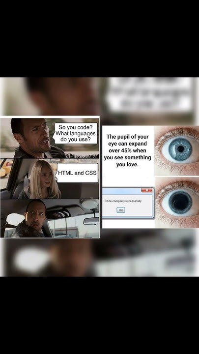 #code #codelife #students #studentlife #programming #programmer #programminglife - YouTube