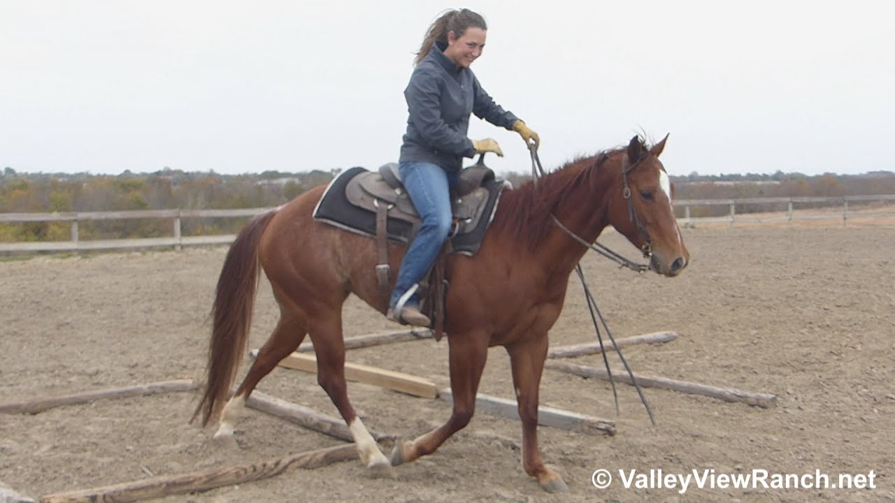 Hickorys Kitty Cat - ranch versatility! - ValleyViewRanch.net - YouTube
