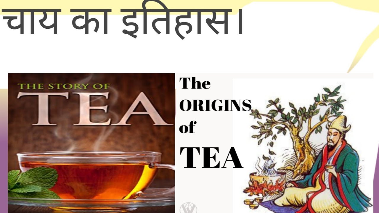 History of tea in hindi || History of tea in India // चाय का इतिहास ...