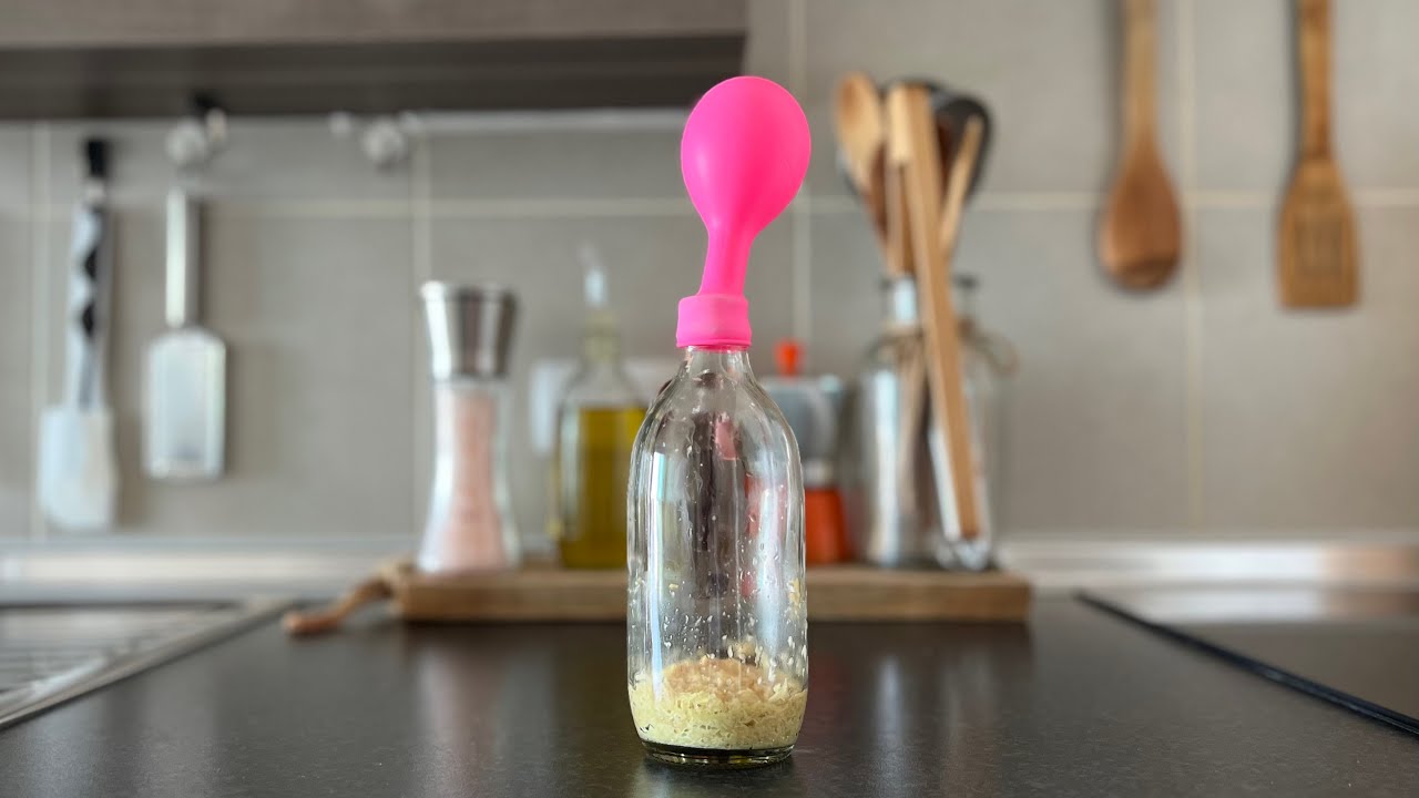 Ginger Bug Starter ready in Only 1 day - YouTube