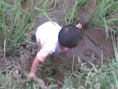 AGHA DAN HELMI DI SAWAH - YouTube