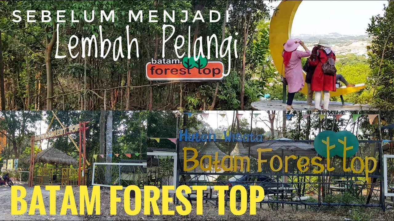 Wisata Hutan Batam Forest Top Sekupang Batam | Bye Bye Batam Forest Top ...
