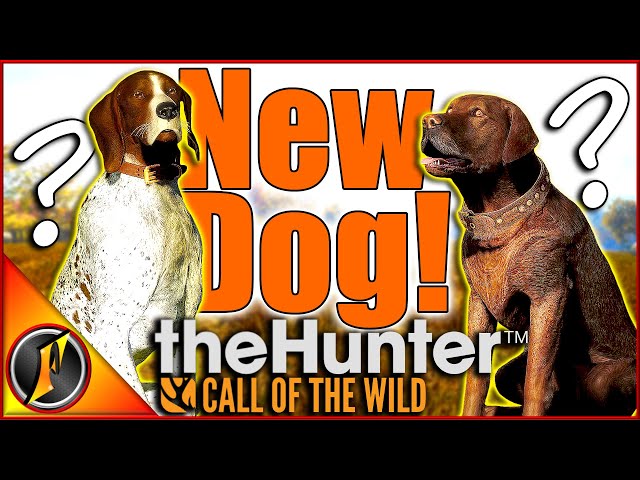 The Call Of The Wild Dog The Call Of The Wild': Sandy Kenyon Says Film