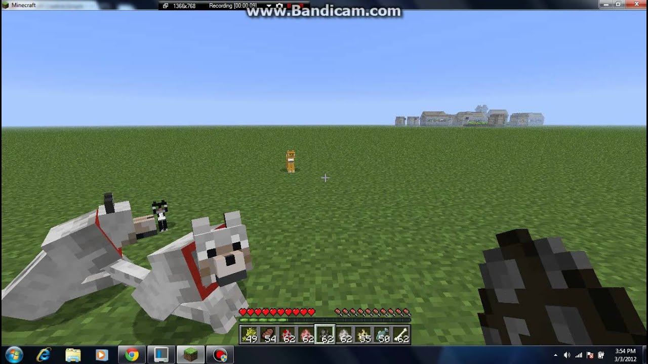 Minecraft Pets Wolf and Ocelot Pets - YouTube