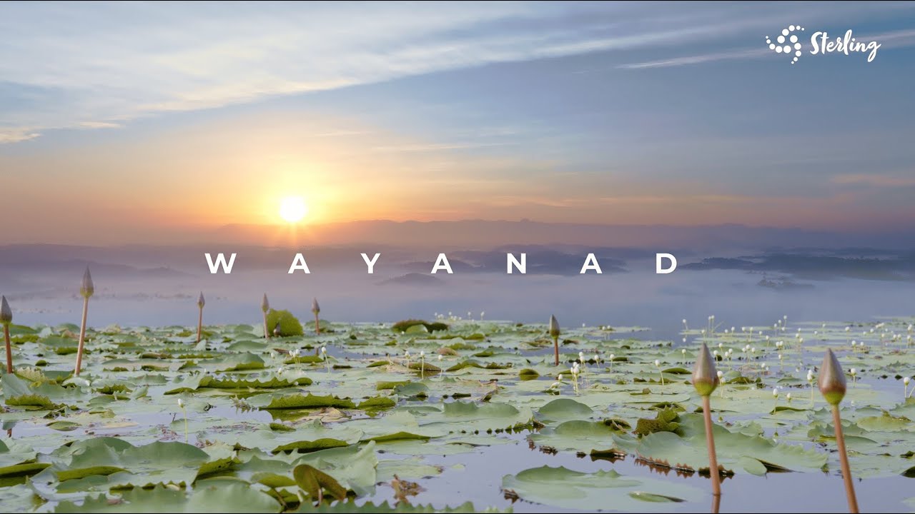 Discover Wayanad: Your Perfect Kerala Getaway with Sterling - YouTube