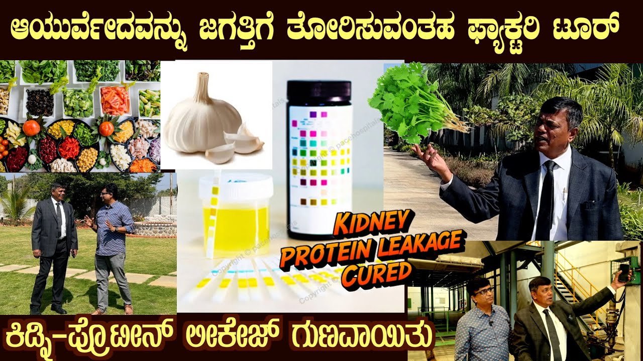 Mega KIDNEY - PROTEIN LEAKAGE Cure ( SUBTITLES) Miracle Drinks Factory video with Dr S M Raju ...