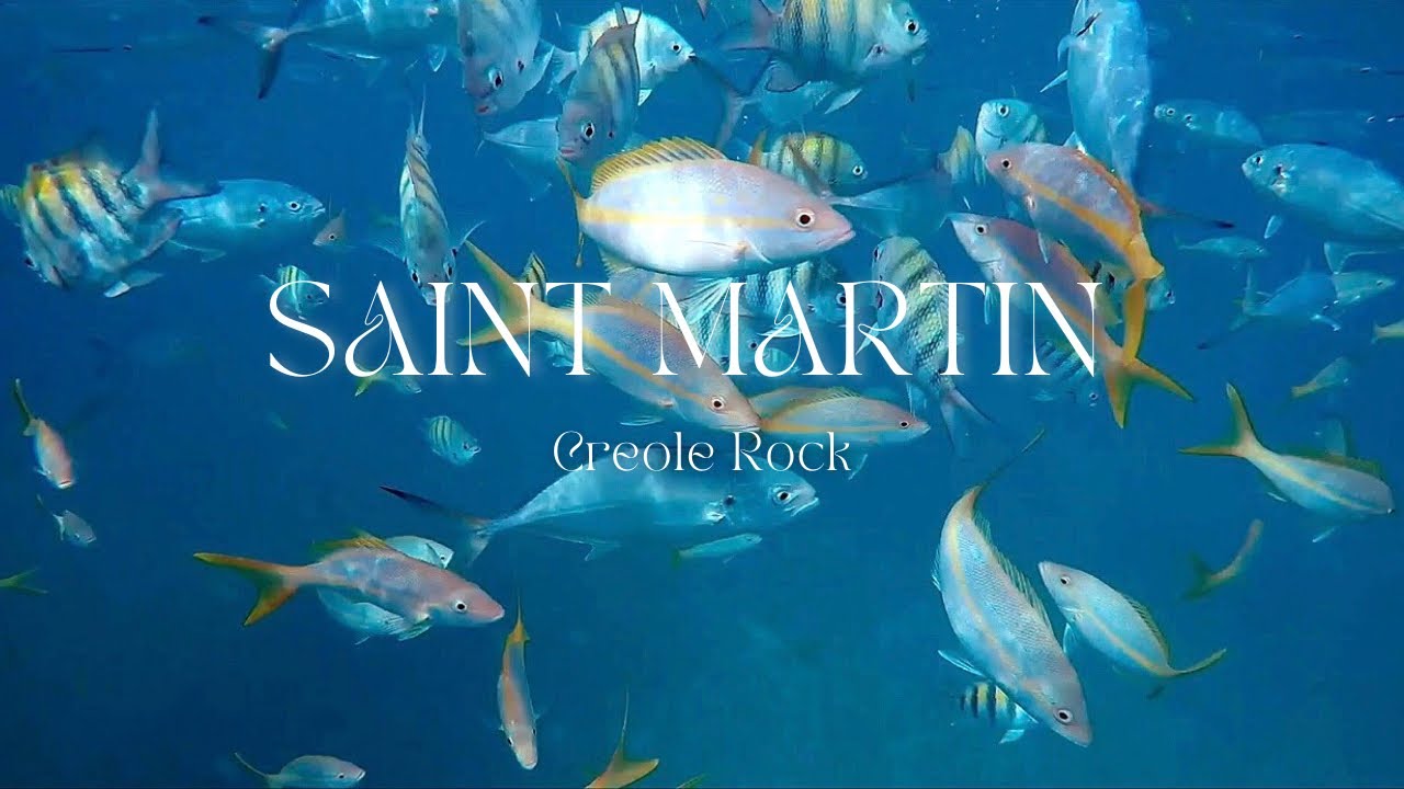 Saint Martin | Snorkeling at Creole Rock - YouTube