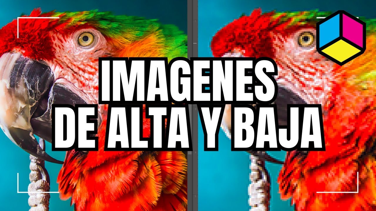 🦜 Imágenes de Alta y Baja Resolución - YouTube