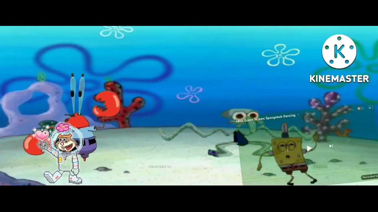 SpongeBob pig - YouTube