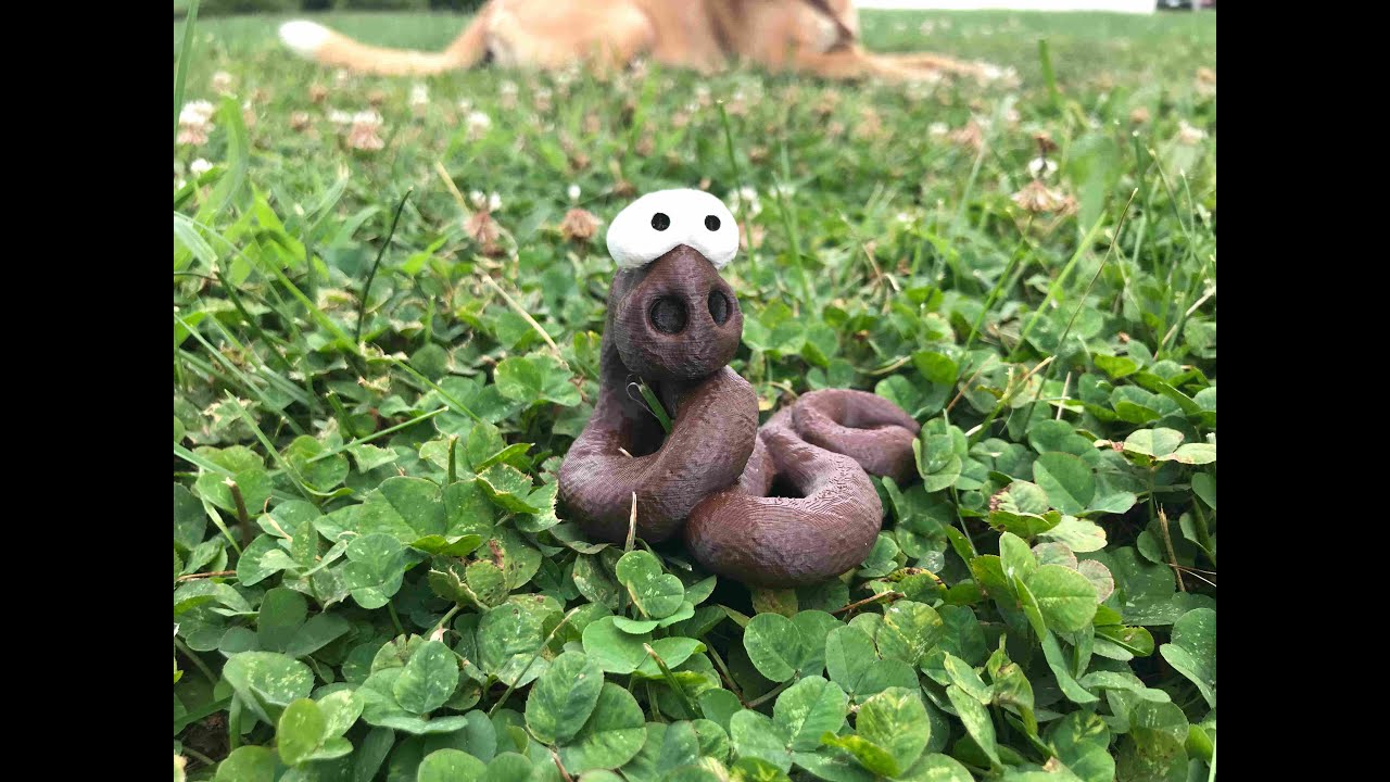 Poo Snake -16 AUG 2021 - YouTube