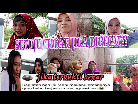 STATUS PNS INI VIRAL || APA TANGGAPANMU