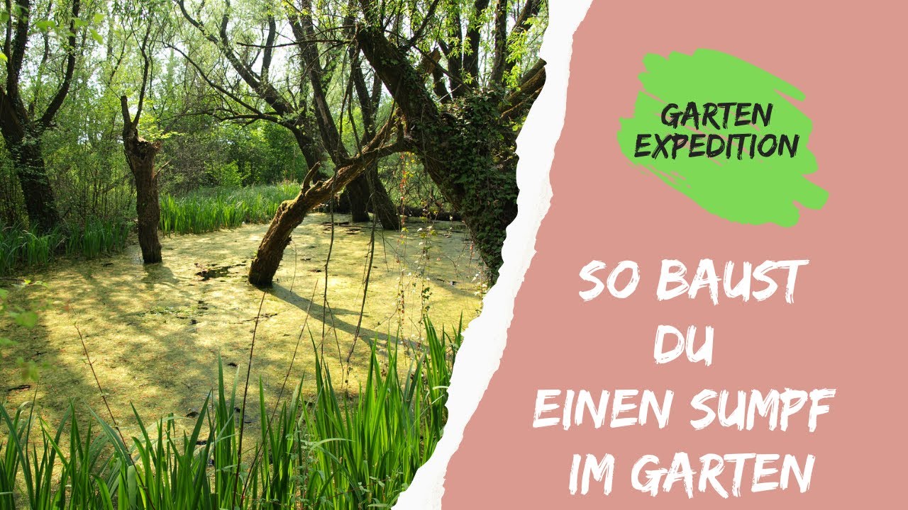 So baust du einen Sumpf – Schritt für Schritt erklärt ...