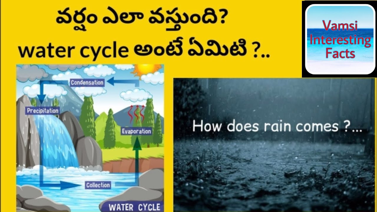 How the rain will comes ? What is water cycle ? || Clearly explained ...