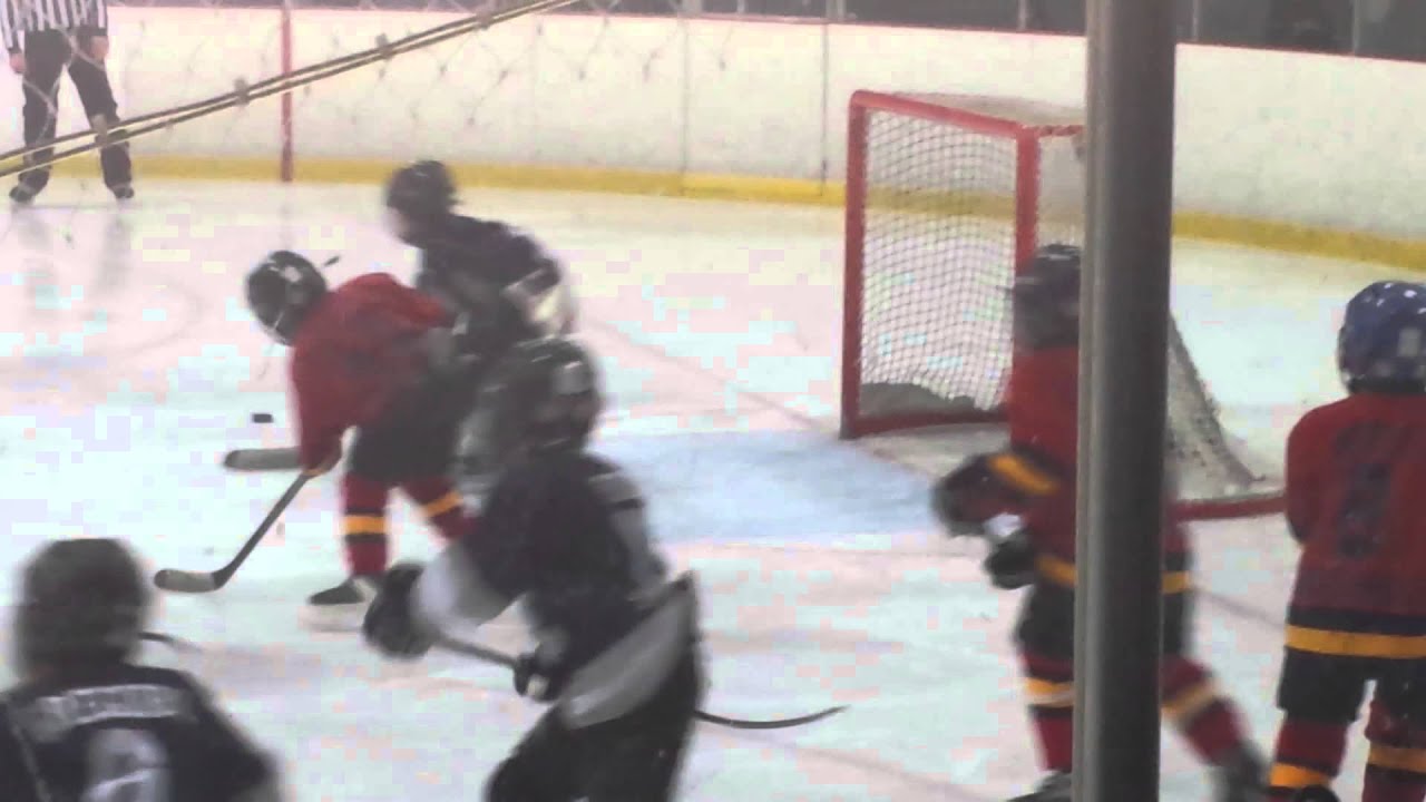 Hunter buffalo Regals 1 - YouTube