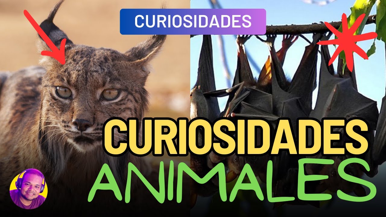 30 DATOS CURIOSOS DE ANIMALES QUE QUIZÁS NO SABÍAS - YouTube