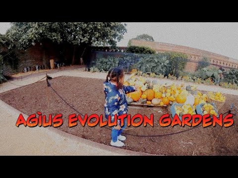 Welcome to Agius Evolution Garden @emelyn286 - YouTube