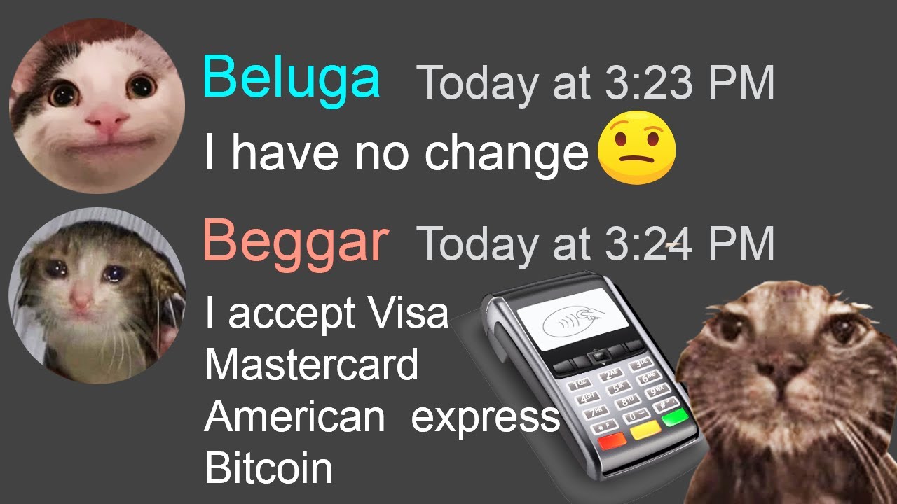 Begger outsmart Beluga..| Discord - YouTube