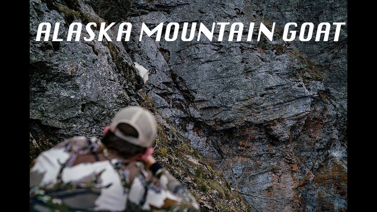 Alaska mountain goat hunt - YouTube