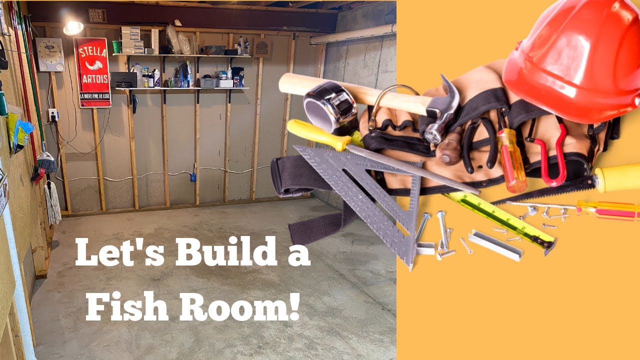 Fish Room Build - YouTube