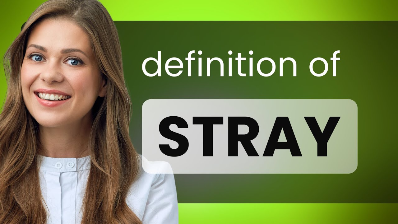 Stray — STRAY definition - YouTube