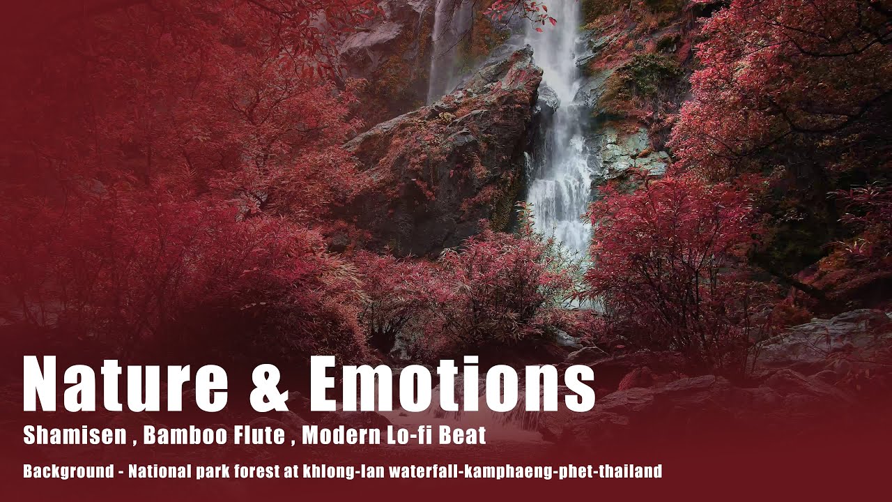 Nature & Emotions - The Amazing World Of Nature & Music - YouTube