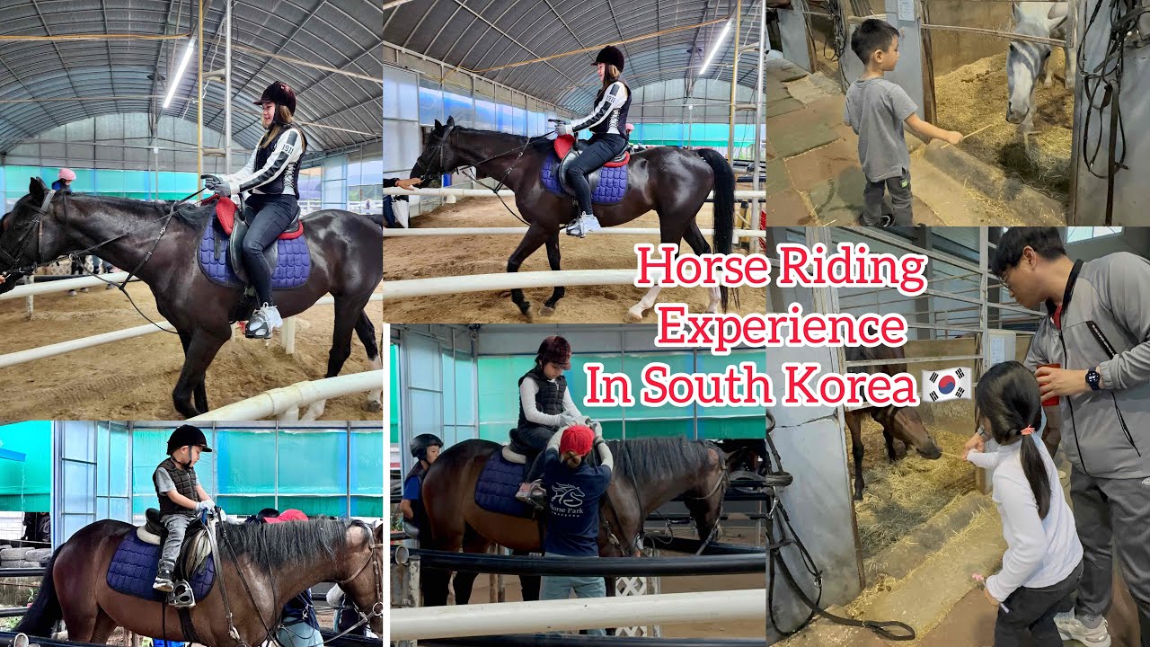 Horse Riding Experience in South Korea - YouTube
